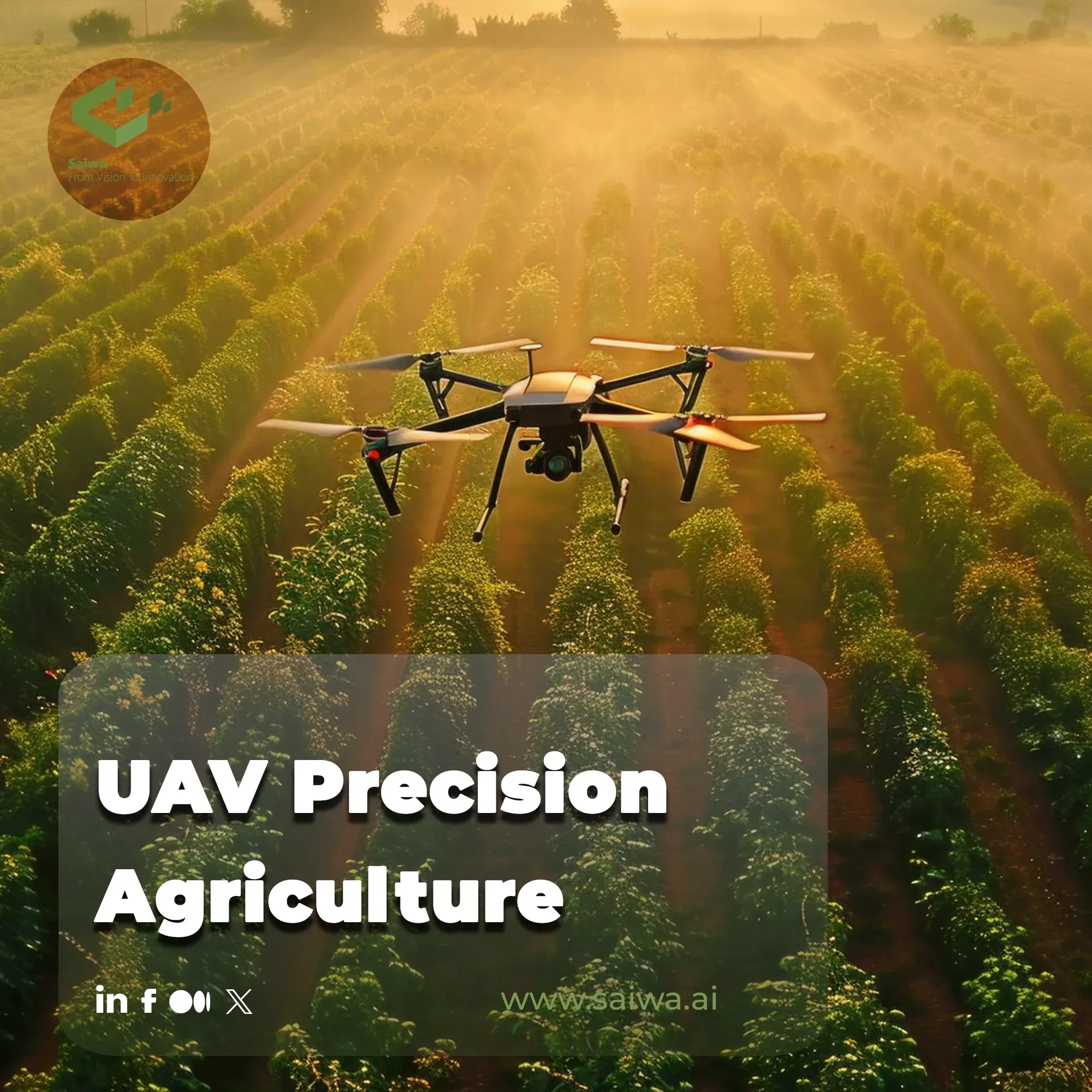 UAV Precision Agriculture | Soar to Higher Yields - Saiwa